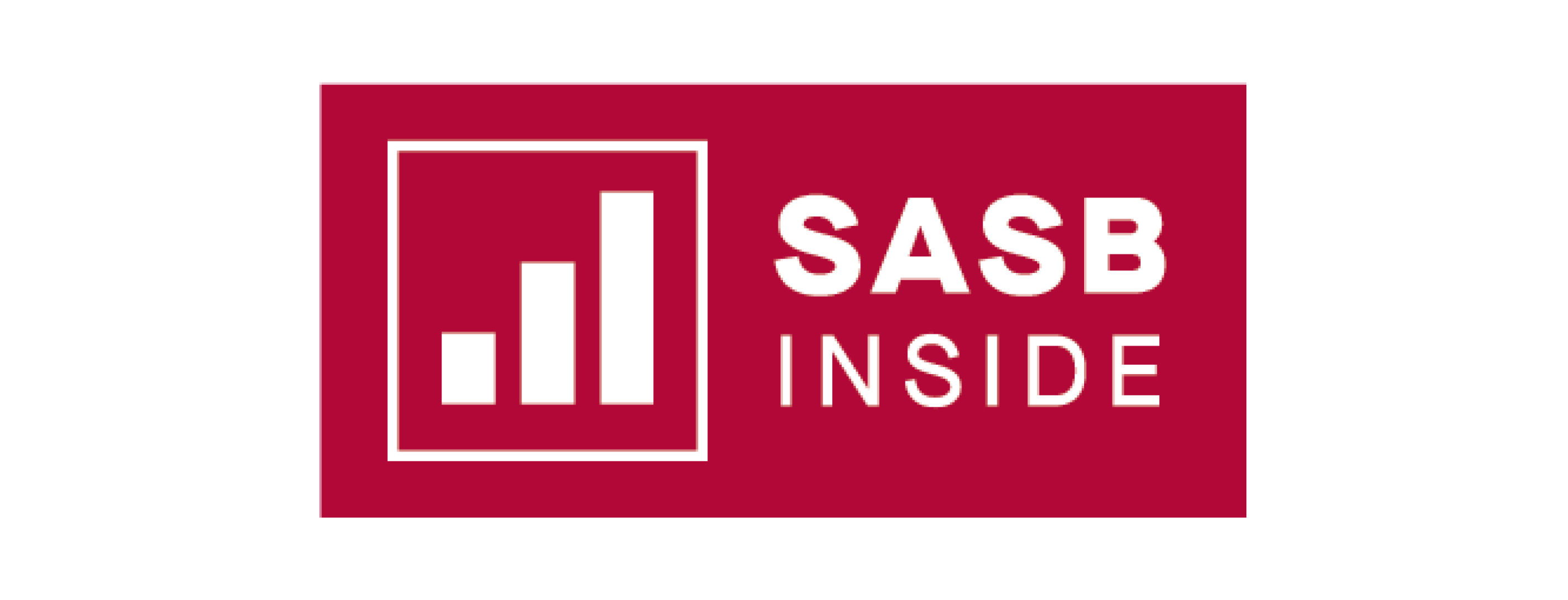 SASB - ESG Simplified